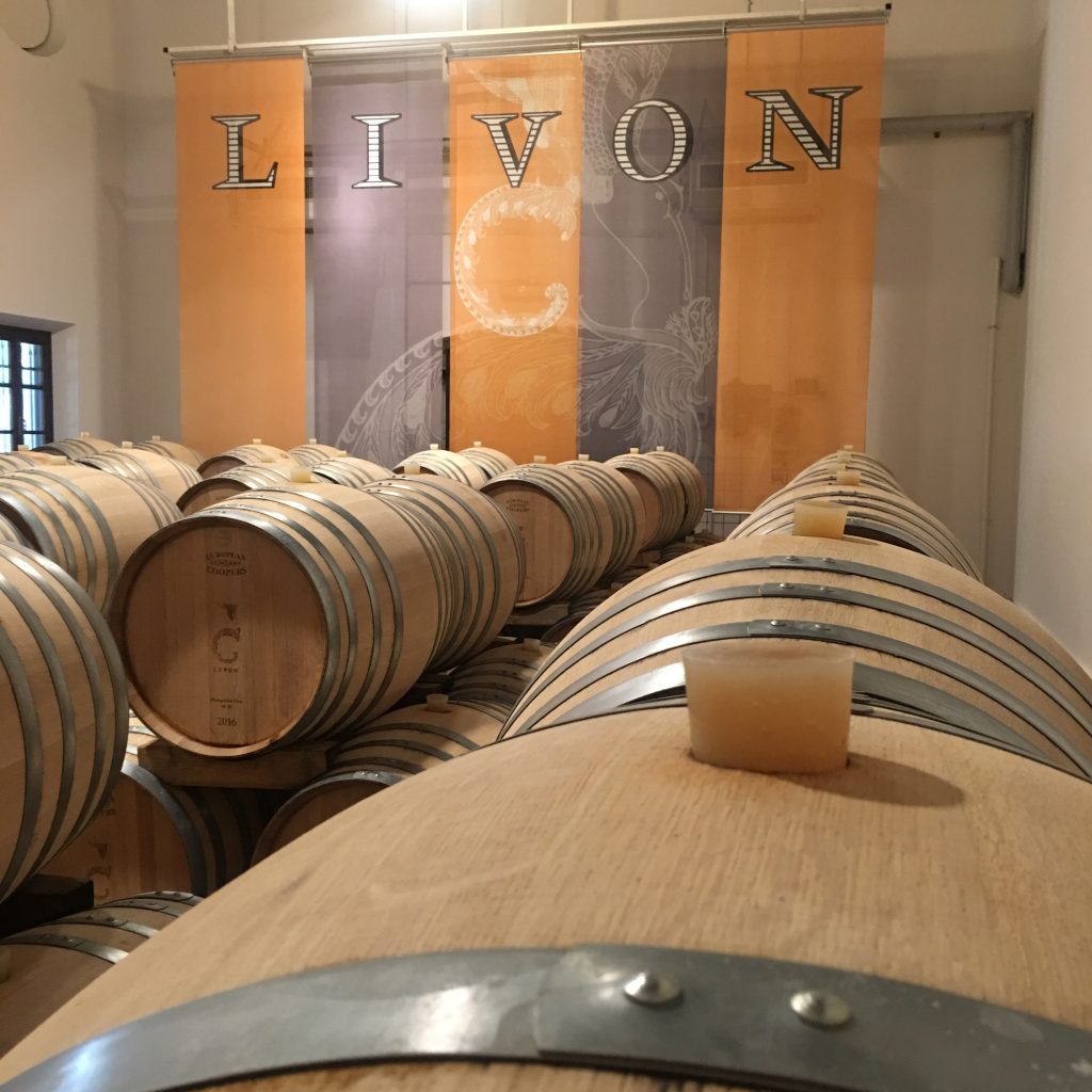A Summer Visit to Villa Chiopris and Livon | Angelini Wine