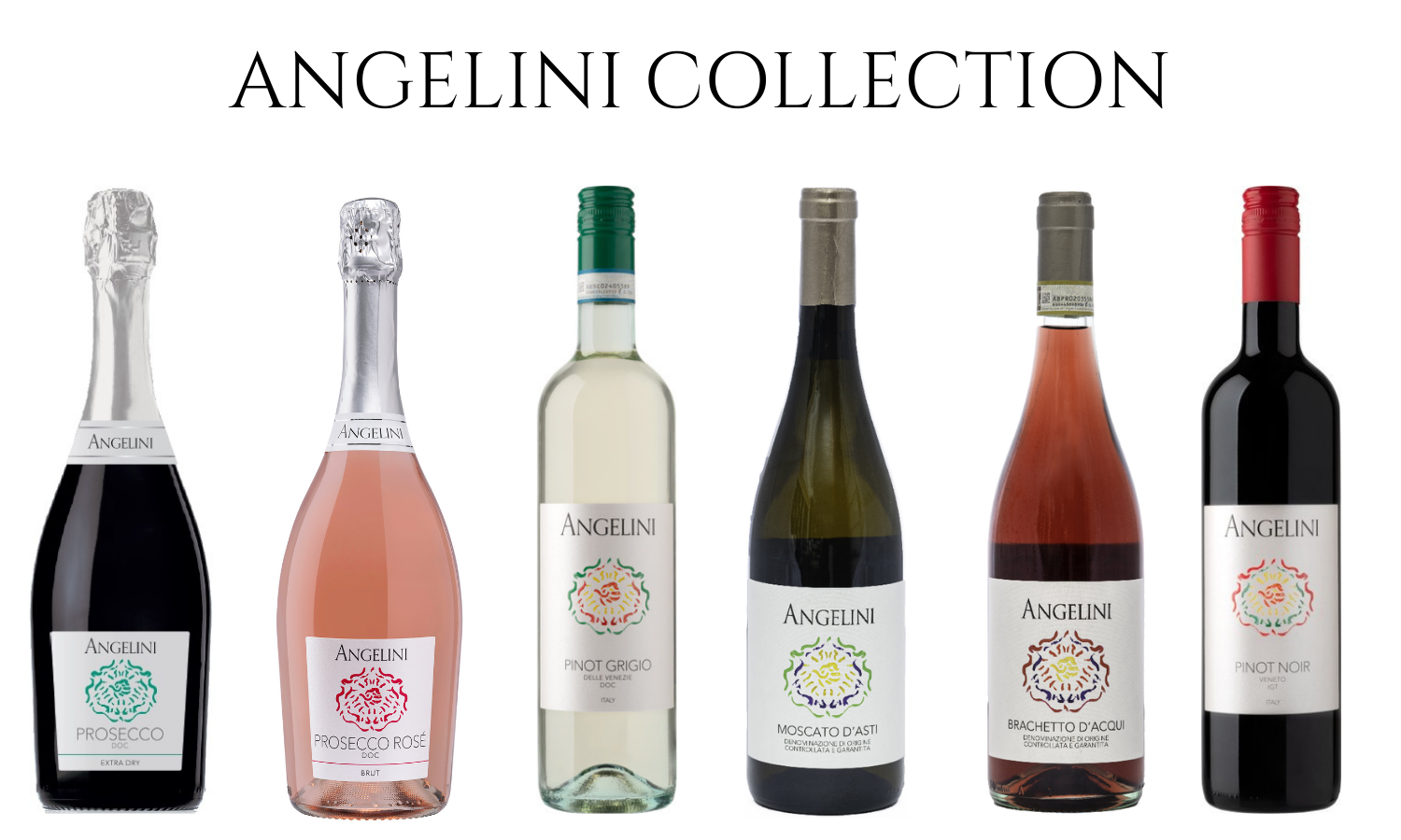 Home | Angelini Wine